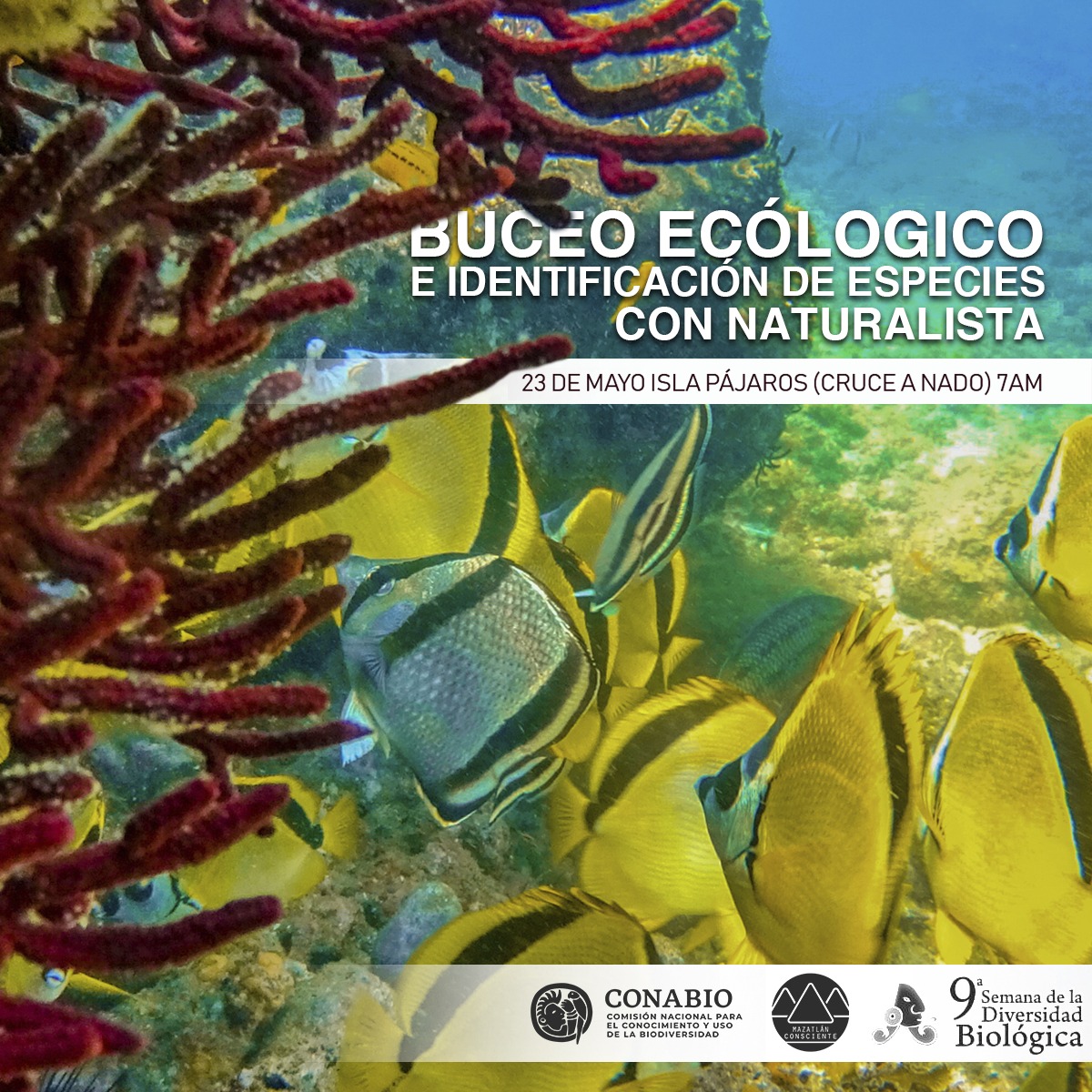 9a. Semana de la Diversidad Biológica | Biodiversidad Mexicana | CONABIO